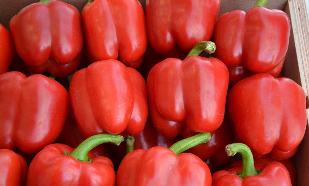 Pimiento Archives - Mexico